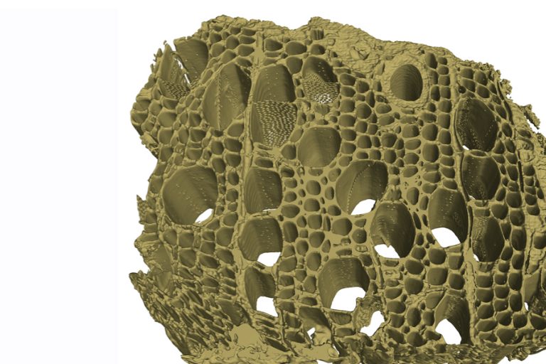 NanoCT/MicroCT - Excillum