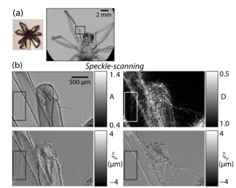 Phase-contrast imaging - Excillum