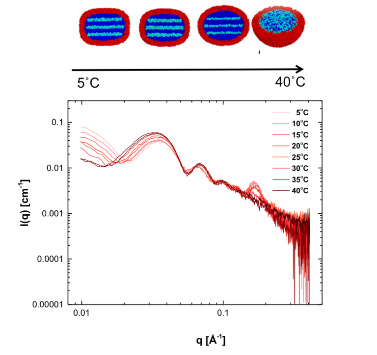 Small Angle X-ray Scattering (SAXS) - Excillum